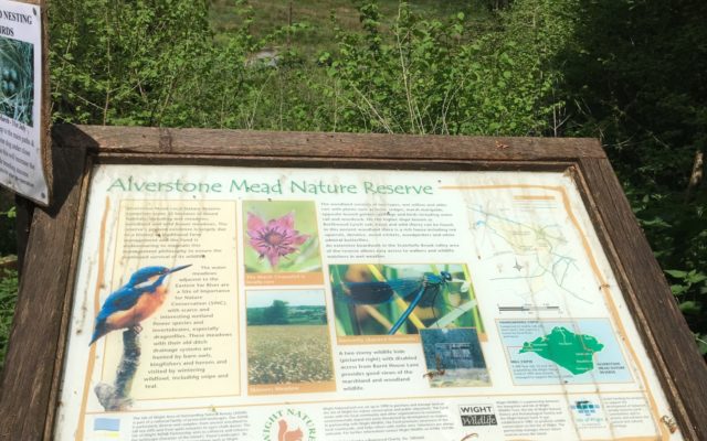 Dog walk at Alverstone Mead - Walkiees