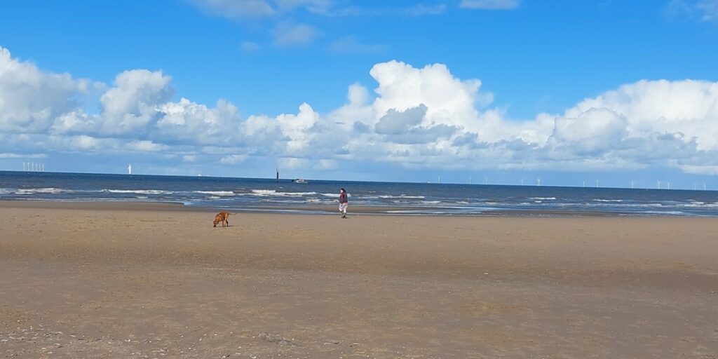 Dog walk at Barkby Beach · Denbighshire · Walkiees