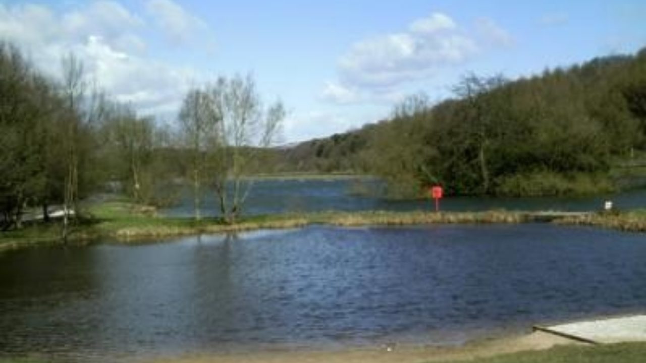 Dog walk at Park Hall Country Park · Staffordshire · Walkiees