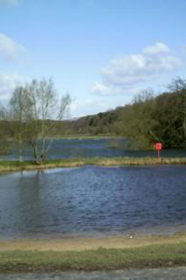 Dog walk at Bathpool Park , Kidsgrove · Staffordshire · Walkiees
