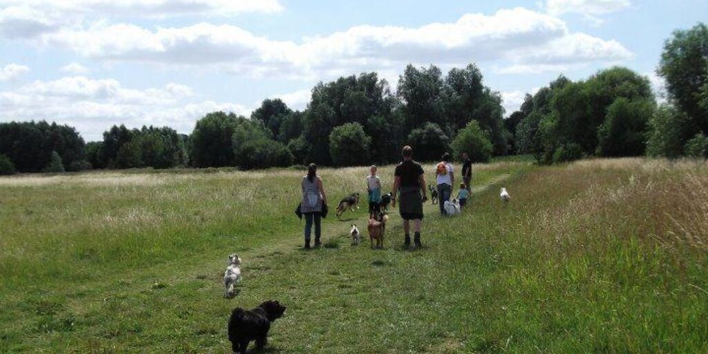 Dog walk at St Neots - Weekly Walk · Cambridgeshire · Walkiees