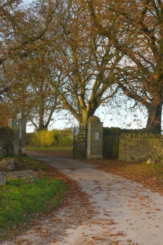 Dog walk at Box Woods & Hazelbury Manor · Wiltshire · Walkiees