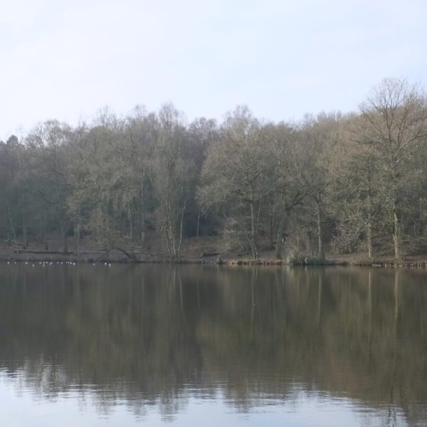 Dog walk at Buchan Country Park · Sussex (East) · Walkiees