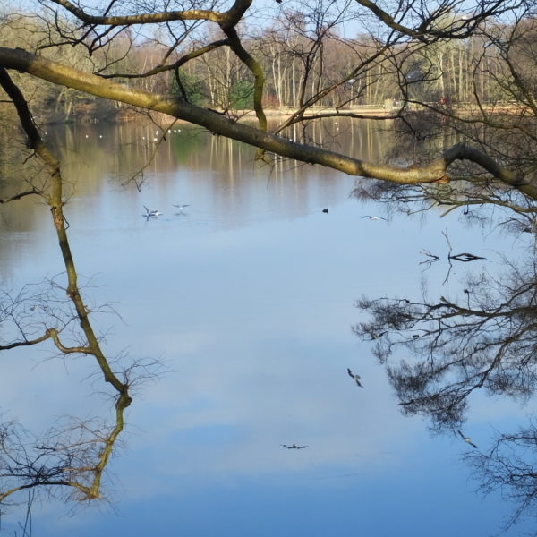 Dog walk at Buchan Country Park · Sussex (East) · Walkiees