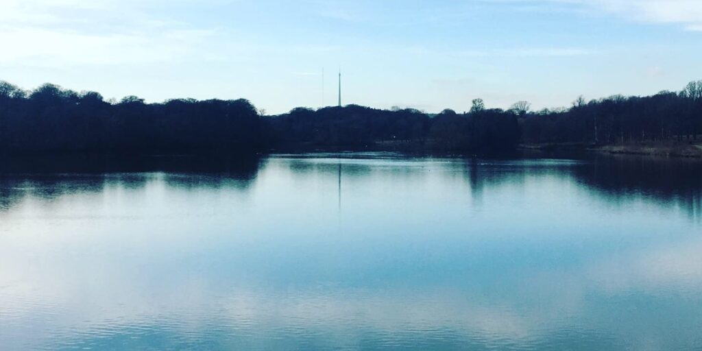 Dog walk at Burton Riggs Nature Reserve · Yorkshire · Walkiees