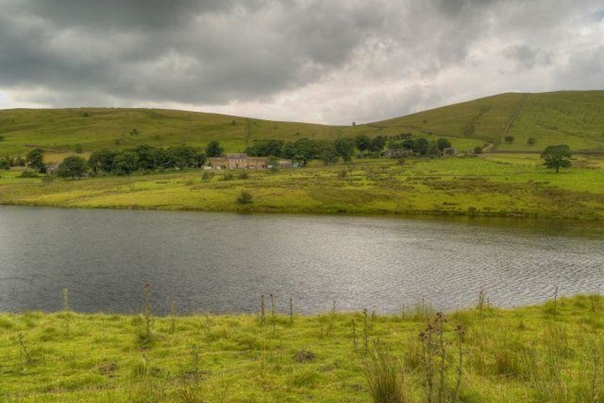 Dog walk at Castleshaw Reservoirs Walk, Delph, Heights Circular ...