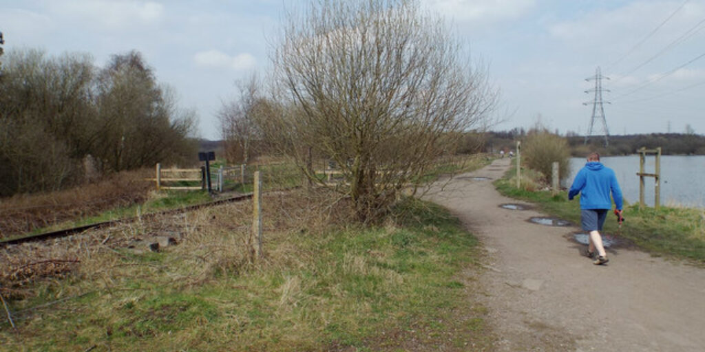 Dog walk at Chasewater Country Park · West Midlands · Walkiees