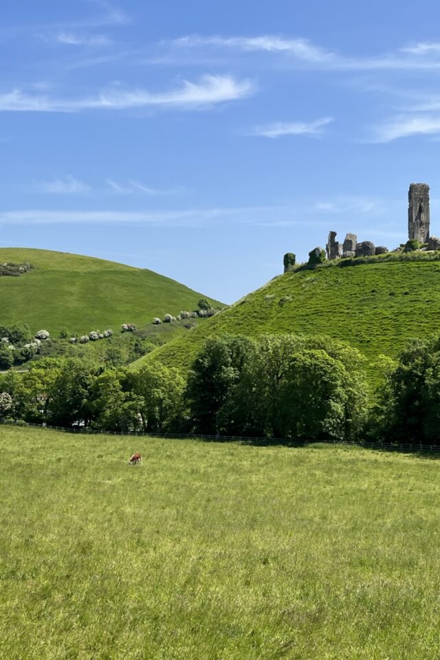 Dog walk at Corfe Castle to Blue Pool Loop · Dorset · Walkiees