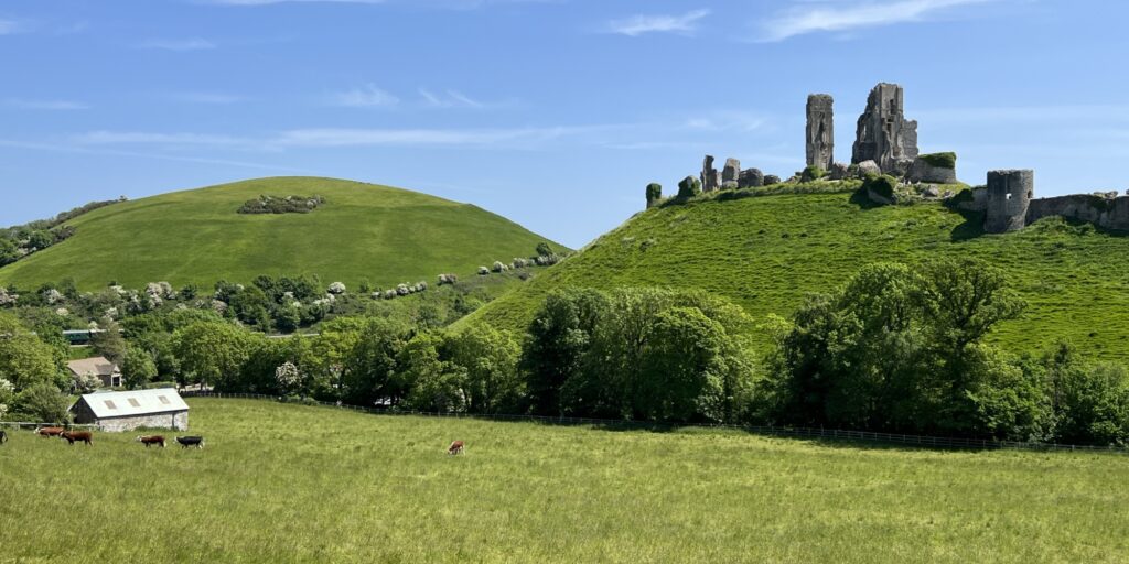 Dog walk at Corfe Castle to Blue Pool Loop · Dorset · Walkiees