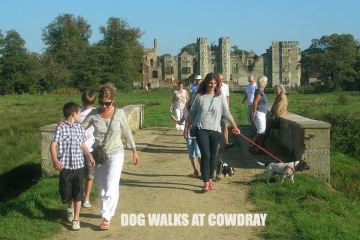 Dog walk at Cowdray Park To Midhurst Old Town · Sussex (West) · Walkiees