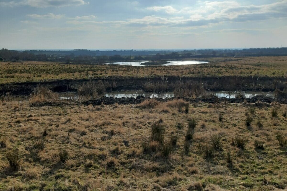Dog walk at Cutacre Country Park · Lancashire · Walkiees