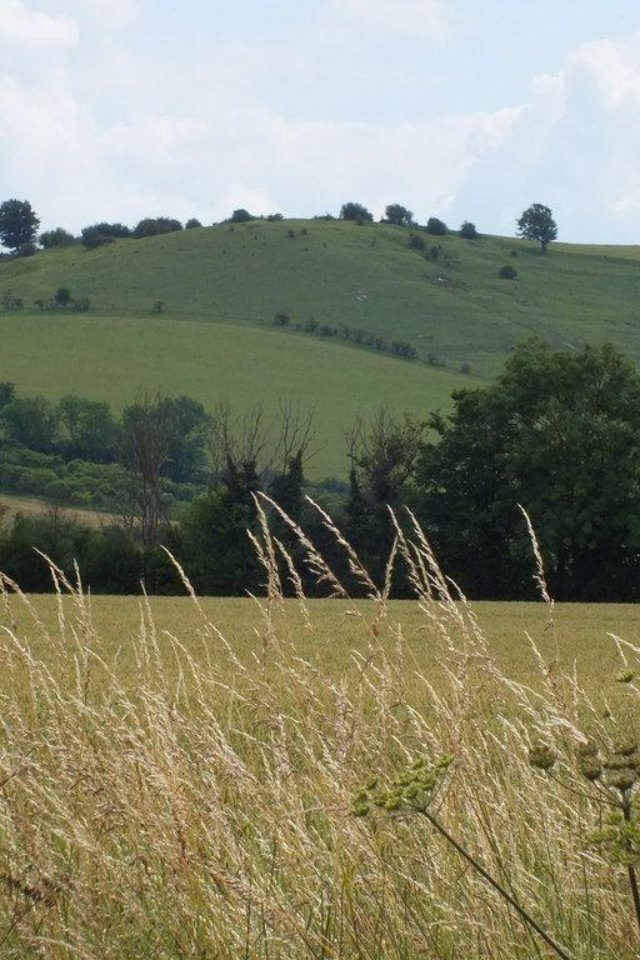 Dog walk at Deacon Hill, Pegdson · Bedfordshire · Walkiees