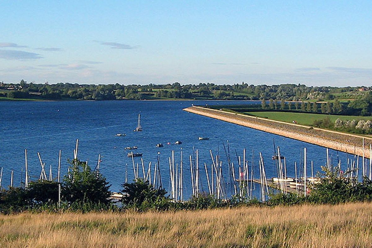 Dog walk at Draycote Water Country Park · Warwickshire · Walkiees