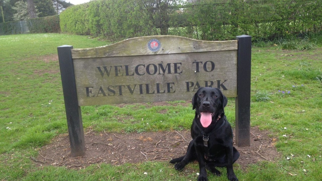Dog walk at Southwick Country Park · Wiltshire · Walkiees
