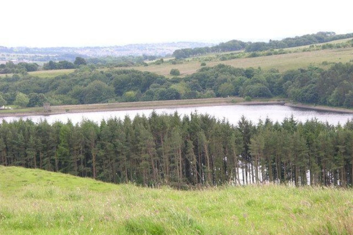 Dog walk at Entwistle Reservoir · Lancashire · Walkiees