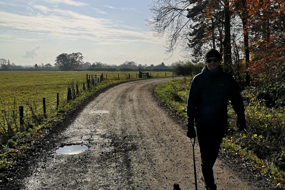 Dog walk at Exton Estate · Rutland · Walkiees