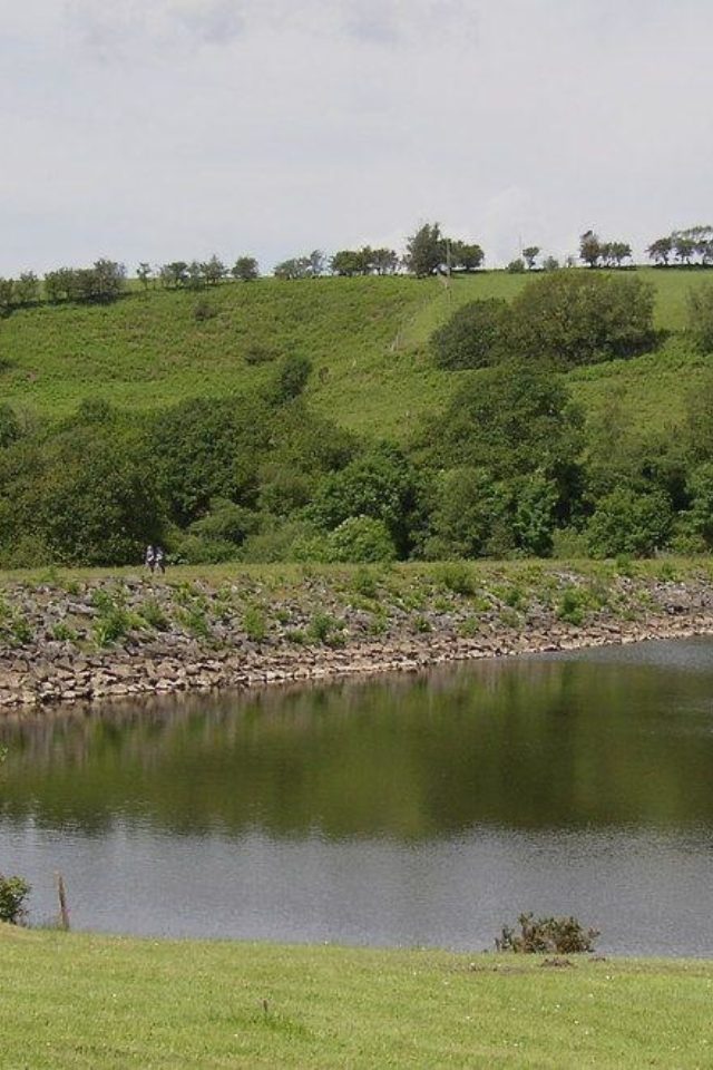 Dog walk at Felindre Reservoir · Swansea · Walkiees