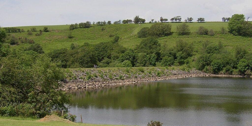Dog walk at Felindre Reservoir · Swansea · Walkiees