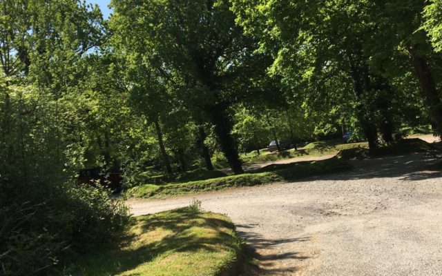 Dog walk at Firestone Copse - Walkiees