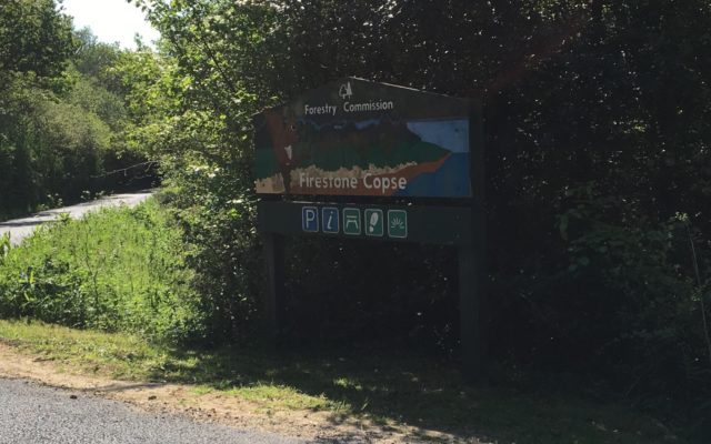 Dog walk at Firestone Copse - Walkiees