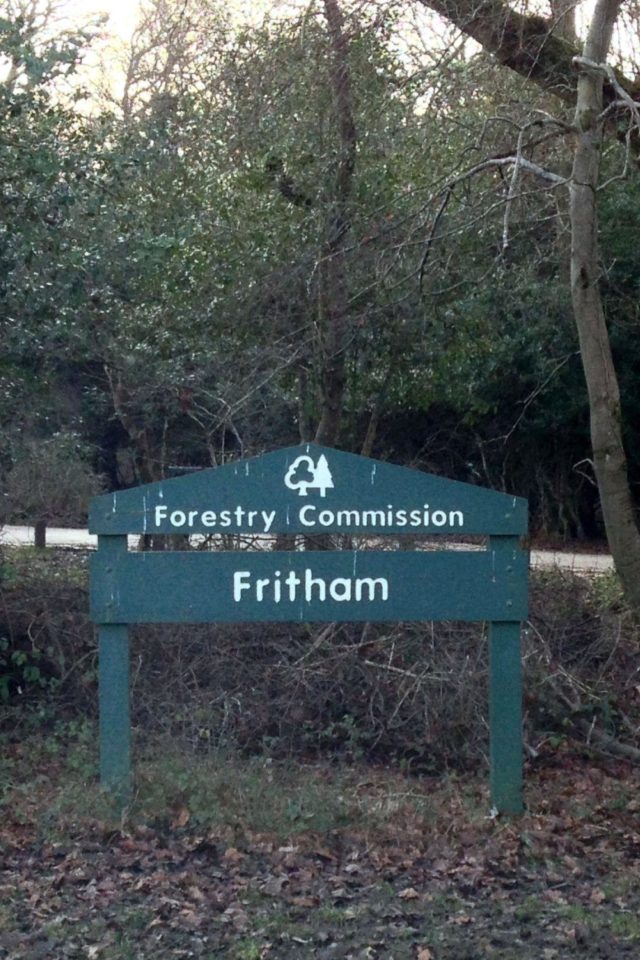 Dog walk at Fritham Plain Walks #1 + #2 · Hampshire · Walkiees