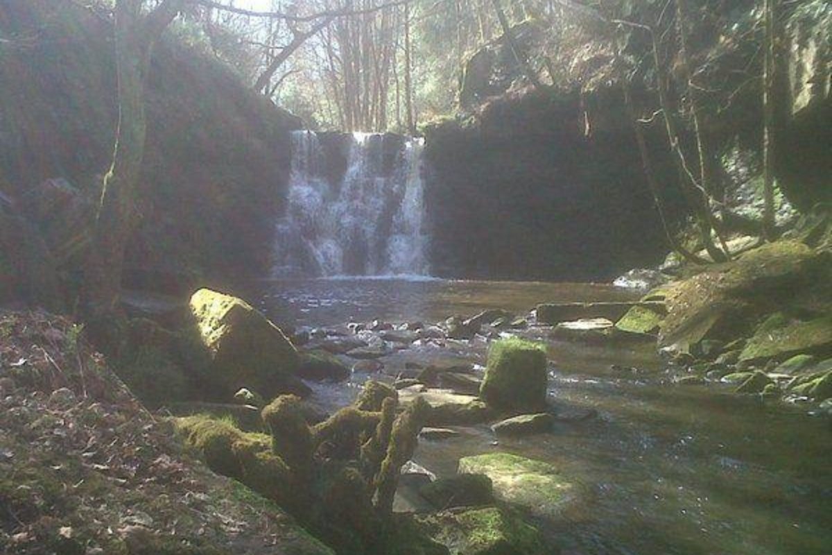 Dog walk at Goit Stock, Cullingworth · Yorkshire (West) · Walkiees