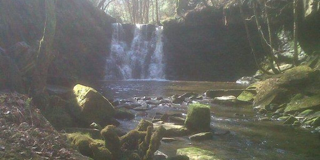 Dog walk at Goit Stock, Cullingworth · Yorkshire (West) · Walkiees