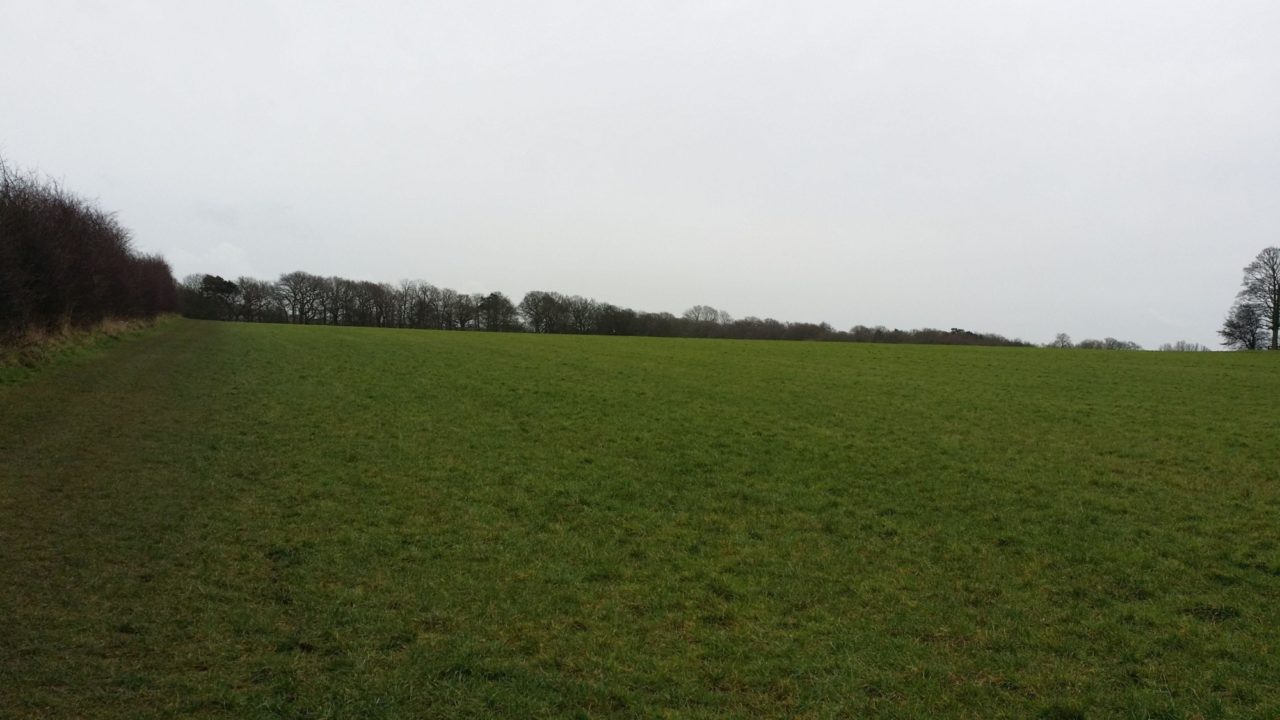 Dog walk at Dutton Locks · Cheshire · Walkiees