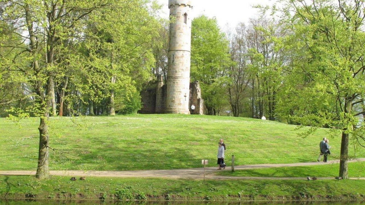 Dog walk at Billingham Beck Valley Country Park · Durham · Walkiees