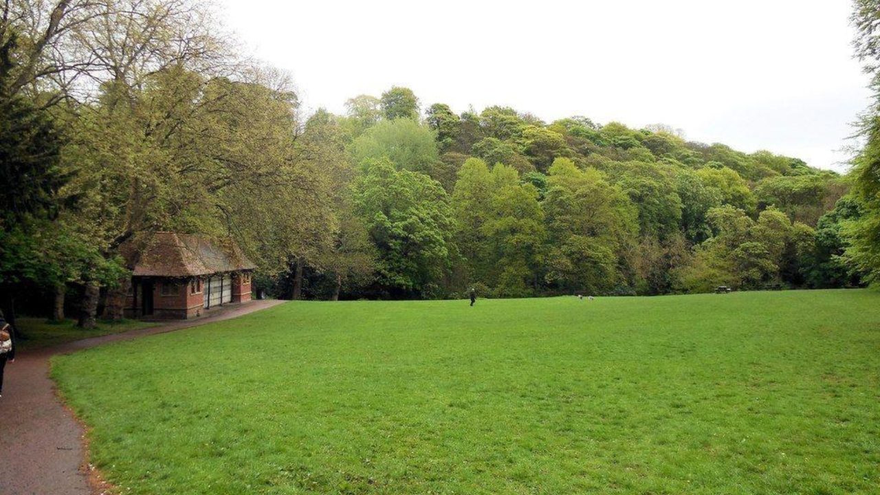 Dog walk at Watergate Forest Park · Gateshead · Walkiees