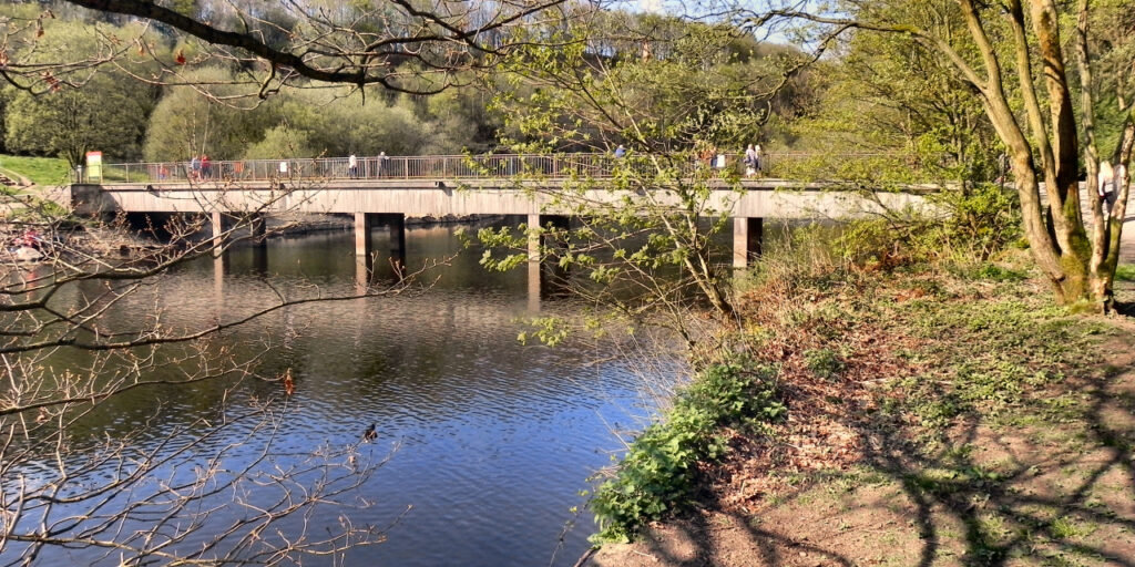 Dog walk at Jumbles Country Park and Reservoir · Manchester (Greater ...