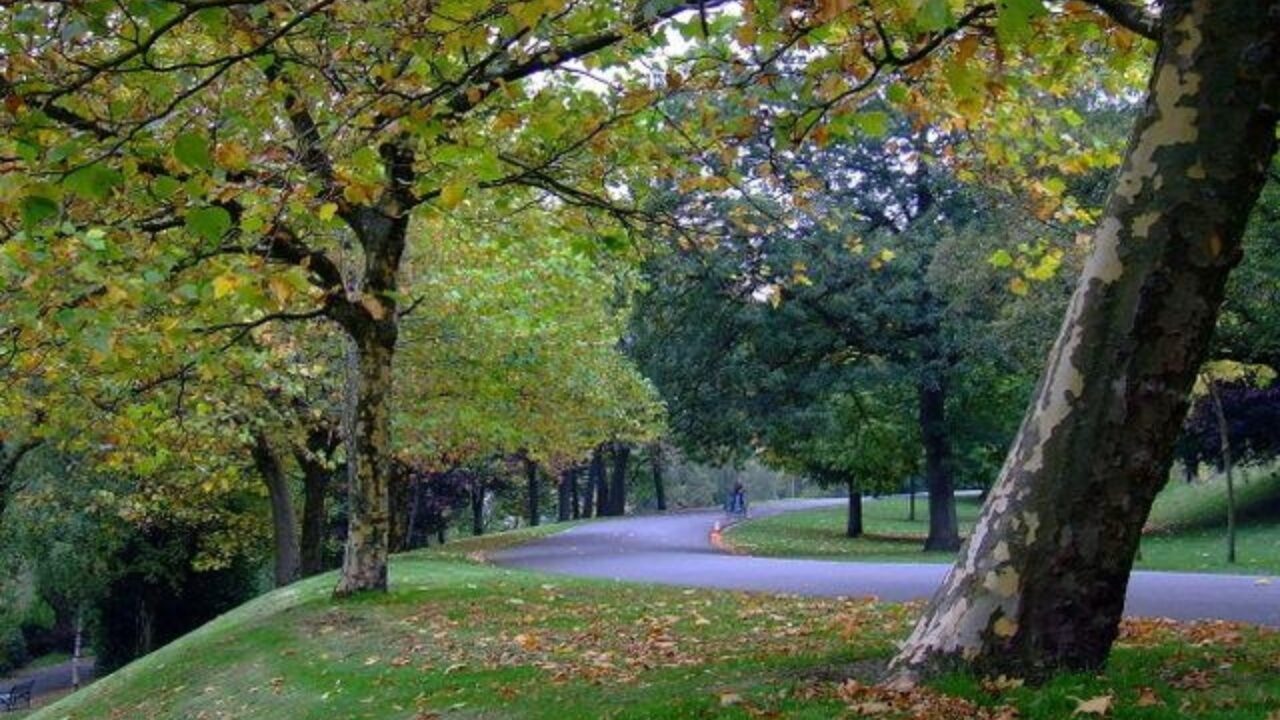 Dog walk at Chatelherault Country Park · Lanarkshire · Walkiees