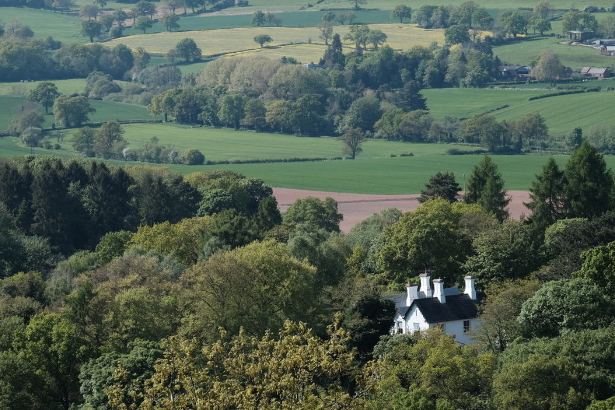 Dog walk at Kinver Edge · Staffordshire · Walkiees