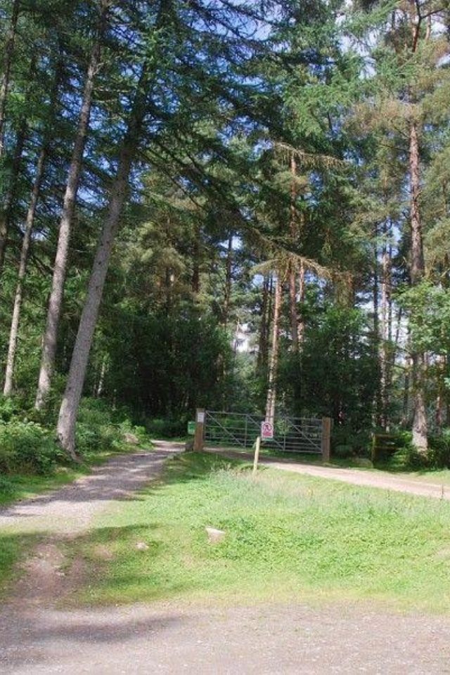 Dog walk at Kirkhill Forest · Aberdeenshire · Walkiees