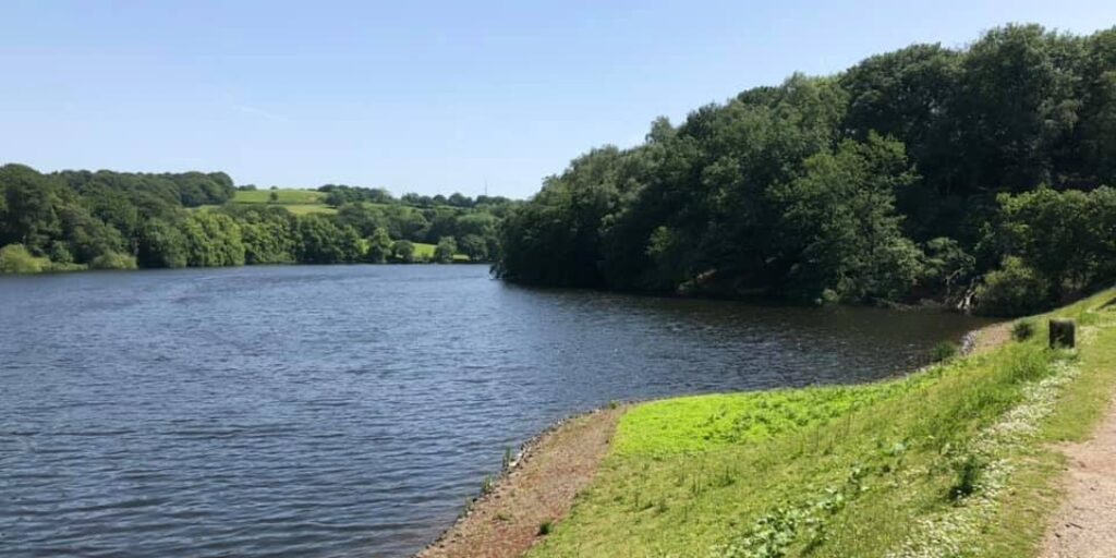 Dog walk at Knypersley Reservoir · Staffordshire · Walkiees