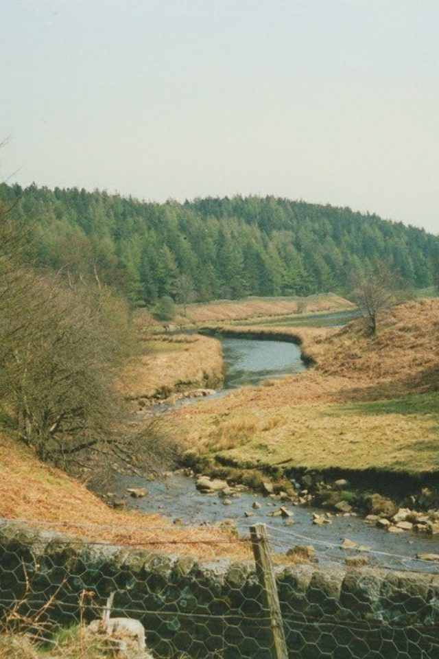 Dog walk at Langsett Reservoir · Yorkshire (South) · Walkiees