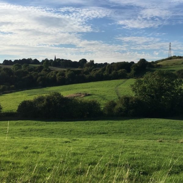 Dog walk at Linby Trail · Nottinghamshire · Walkiees
