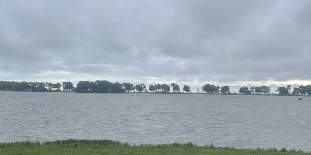 Dog walk at Monikie Country Park Walk · Angus · Walkiees