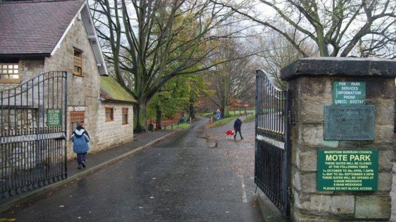 Dog walk at Hayle park nature reserve · Kent · Walkiees