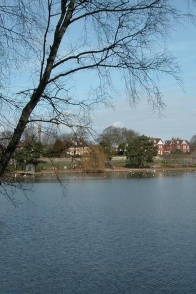 Dog walk at Petersfield Lake And Heath · Hampshire · Walkiees