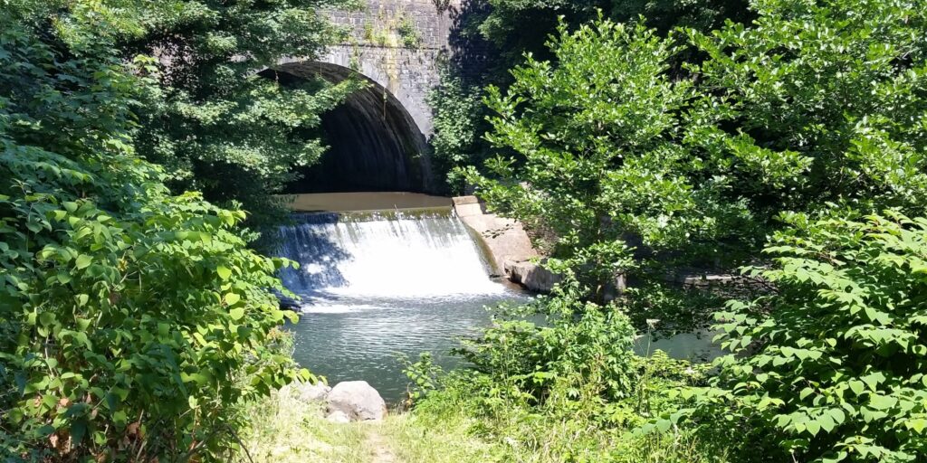Dog walk at Pontymoile Canal Basin · Torfaen · Walkiees