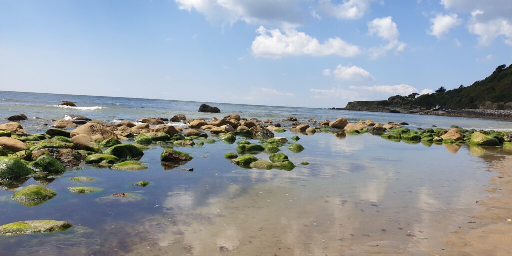 Dog walk at Reeth Bay · Isle of Wight · Walkiees