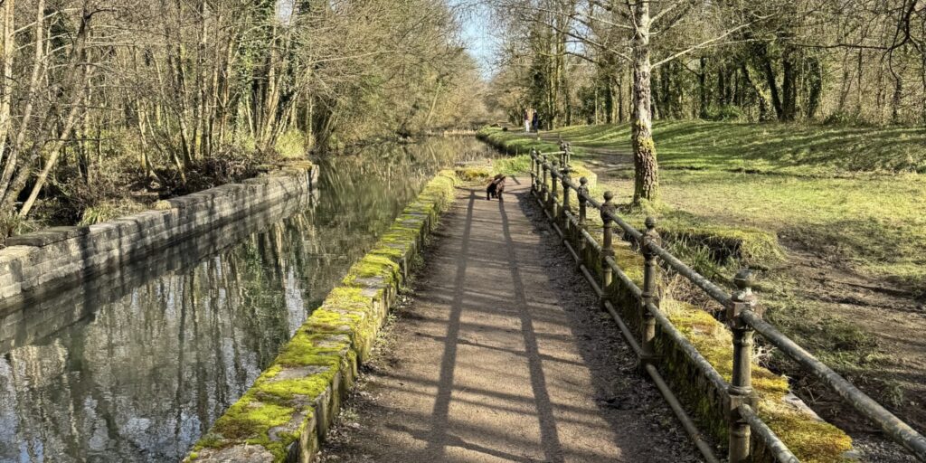 Dog walk at Resolven Neath Canal Walk · Neath Port Talbot · Walkiees