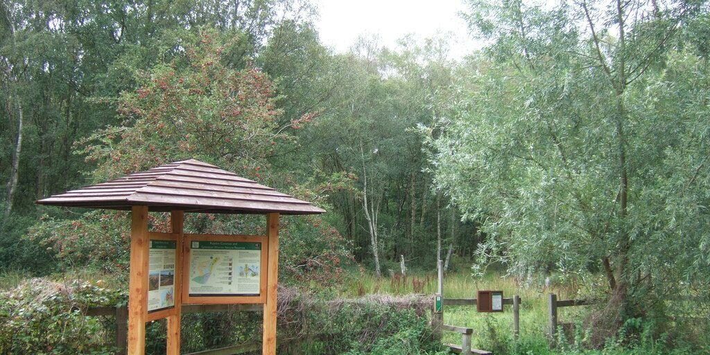 Dog walk at Royden Country Park · Merseyside · Walkiees