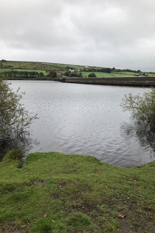 Dog walk at Ryburn reservoir · Yorkshire (South) · Walkiees