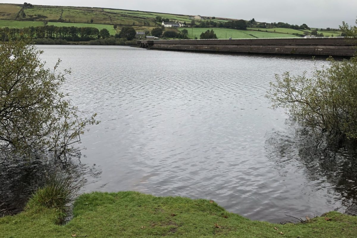 Dog walk at Ryburn reservoir · Yorkshire (South) · Walkiees