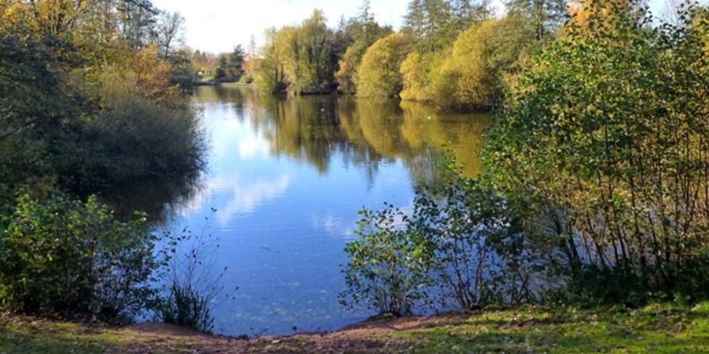 Dog walk at Ryton Pools Country Park · Warwickshire · Walkiees