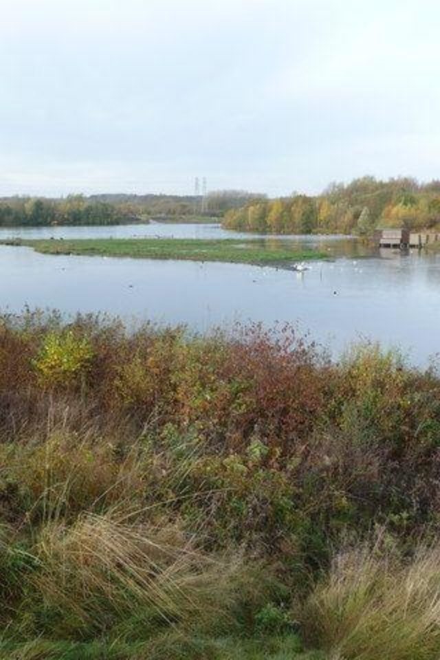 Dog walk at Sandwell Valley Country Park · West Midlands · Walkiees