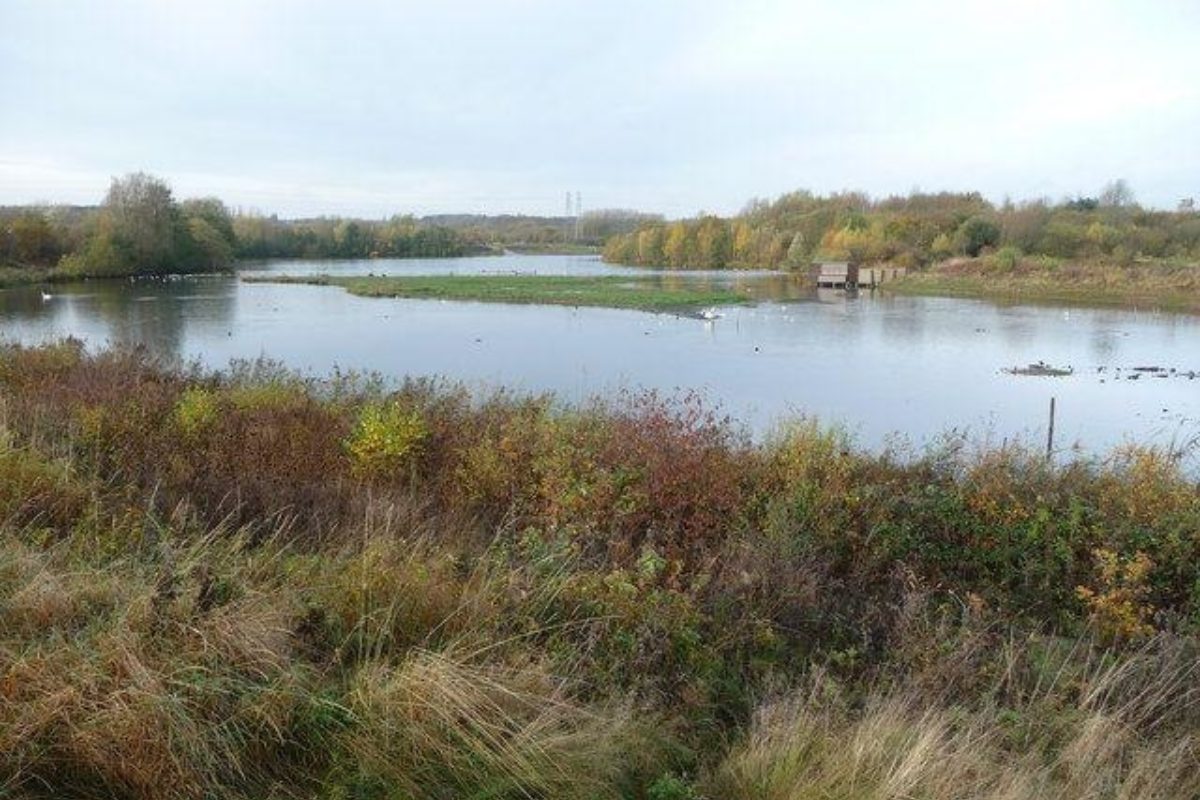 Dog walk at Sandwell Valley Country Park · West Midlands · Walkiees