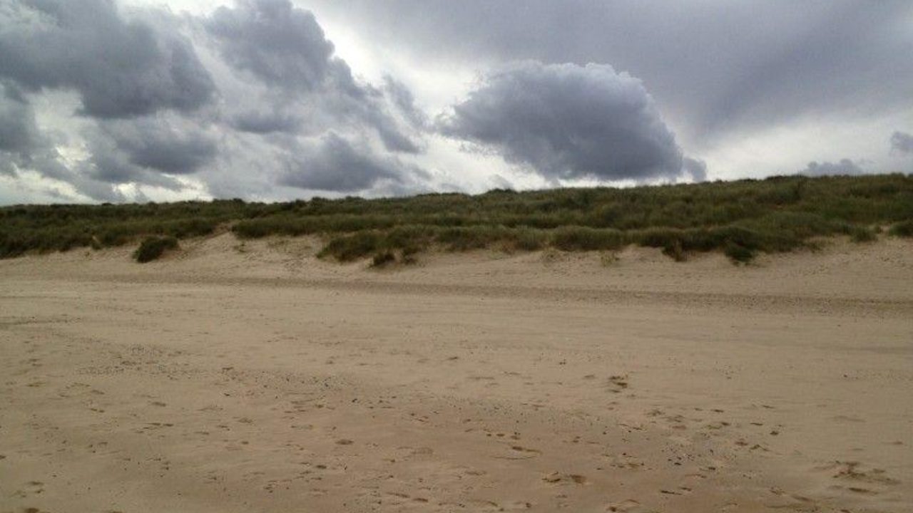 Dog walk at Happisburgh Beach · Norfolk · Walkiees